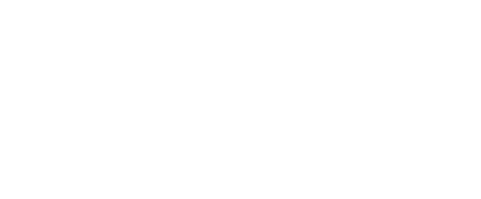 AmeriCo Group – Operational Excellence