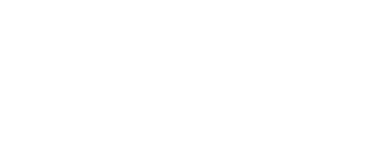 AmeriCo Group – Operational Excellence