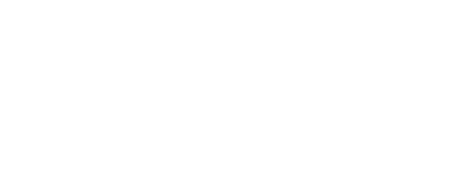 AmeriCo Group – Operational Excellence