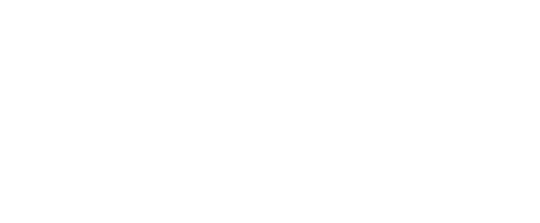 AmeriCo Group – Operational Excellence