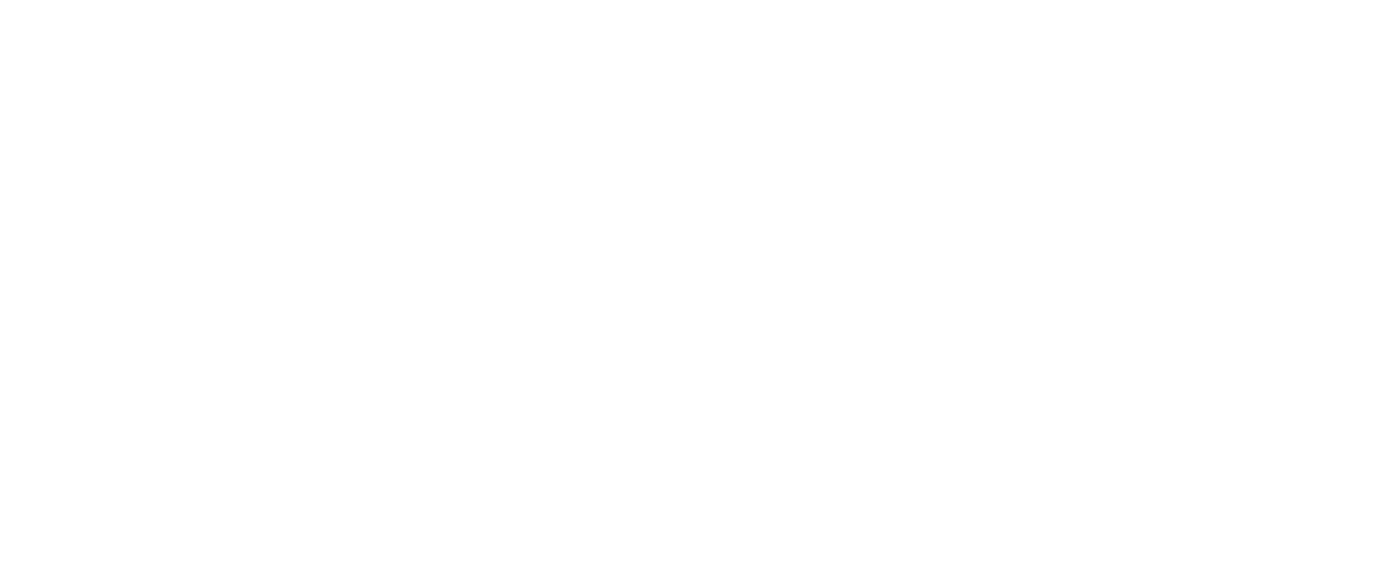 AmeriCo Group – Operational Excellence