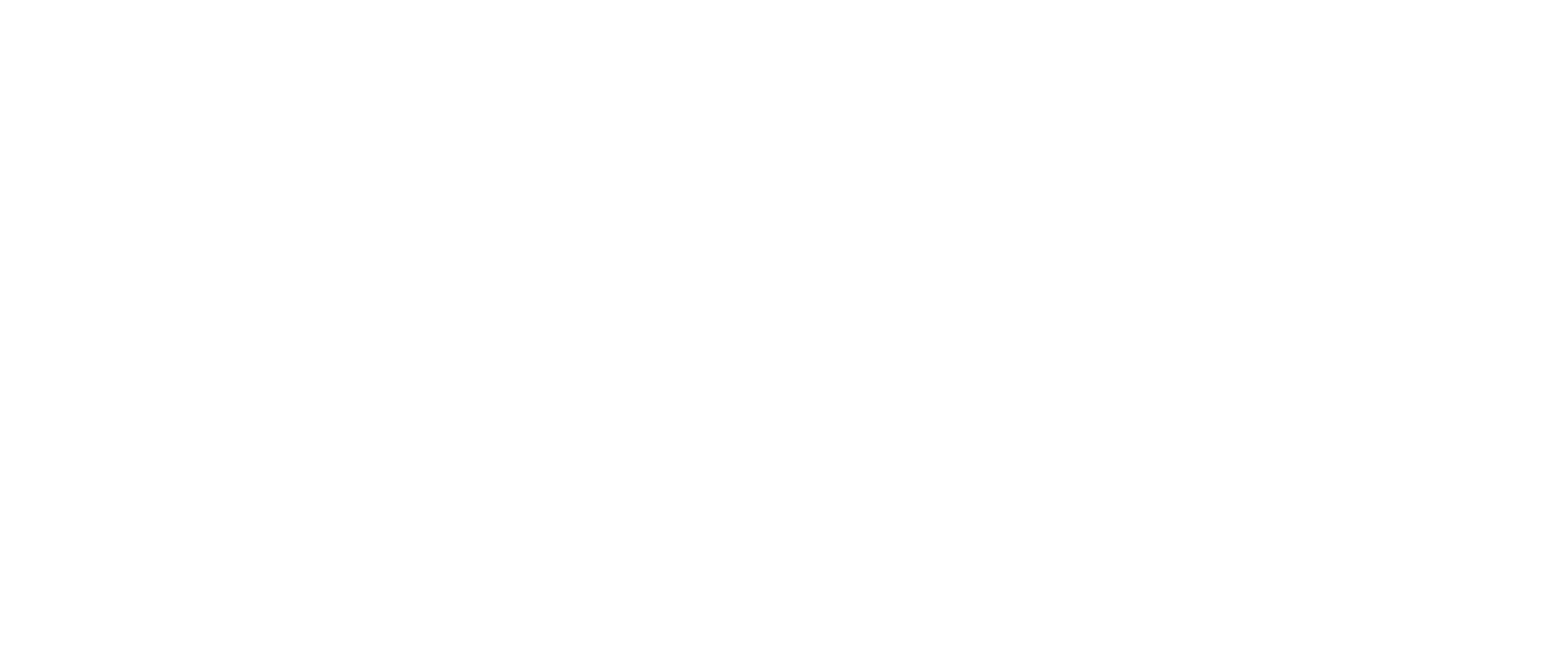 AmeriCo Group – Operational Excellence